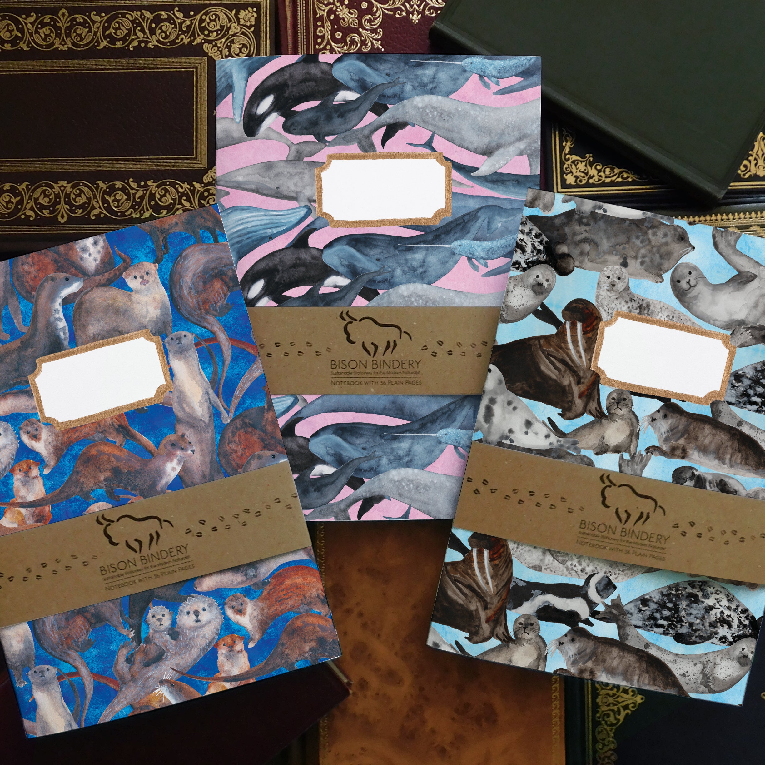 Marine Mammals Notebook Pack – Bison Bindery
