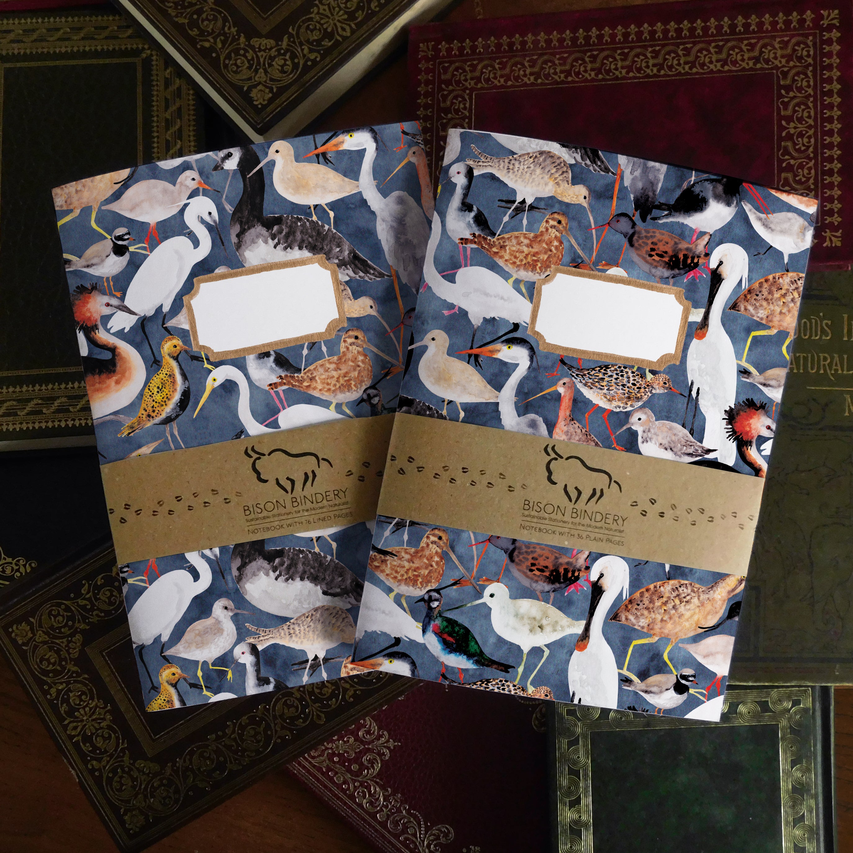 Aestes Wetland Birds Print Journal and Notebook Set – Bison Bindery