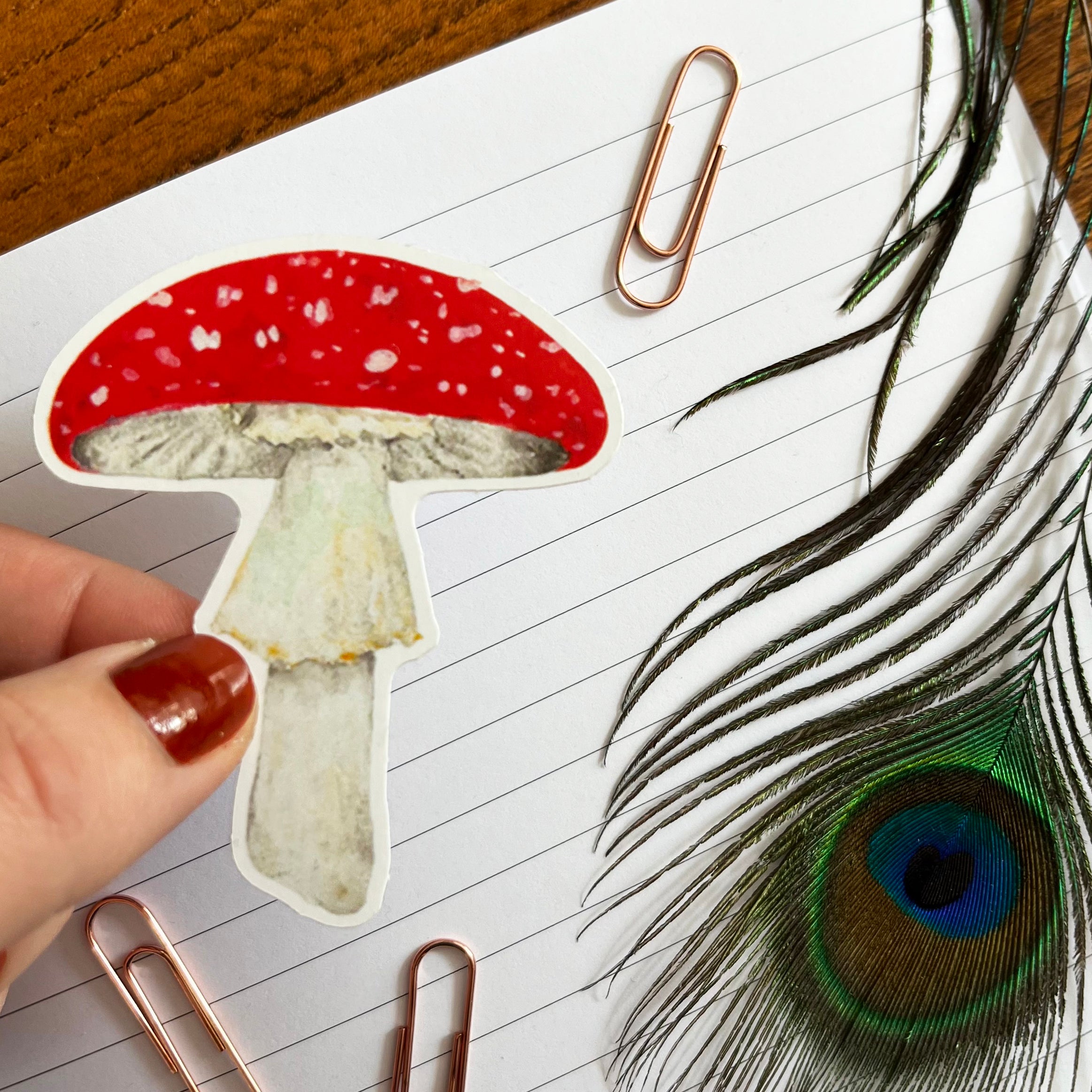 Fungi Fly Agaric Mushroom Sticker – Bison Bindery