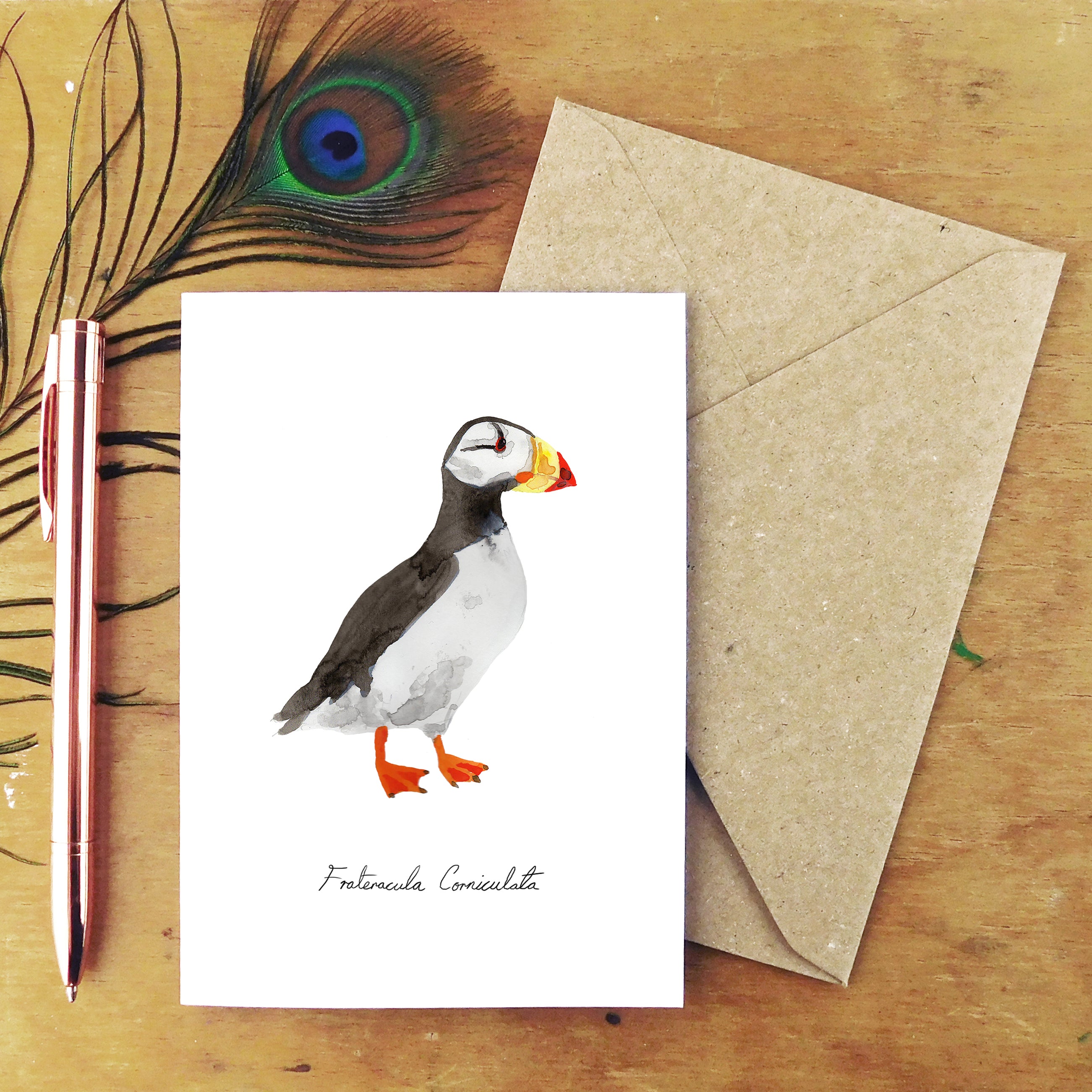 Improbability Horned Puffin Greetings Card – Bison Bindery